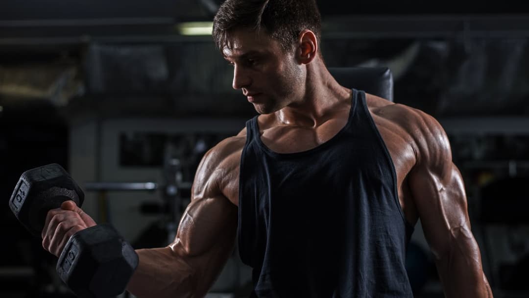 MuscleWiki Routines | Find Your Perfect Fitness Plan