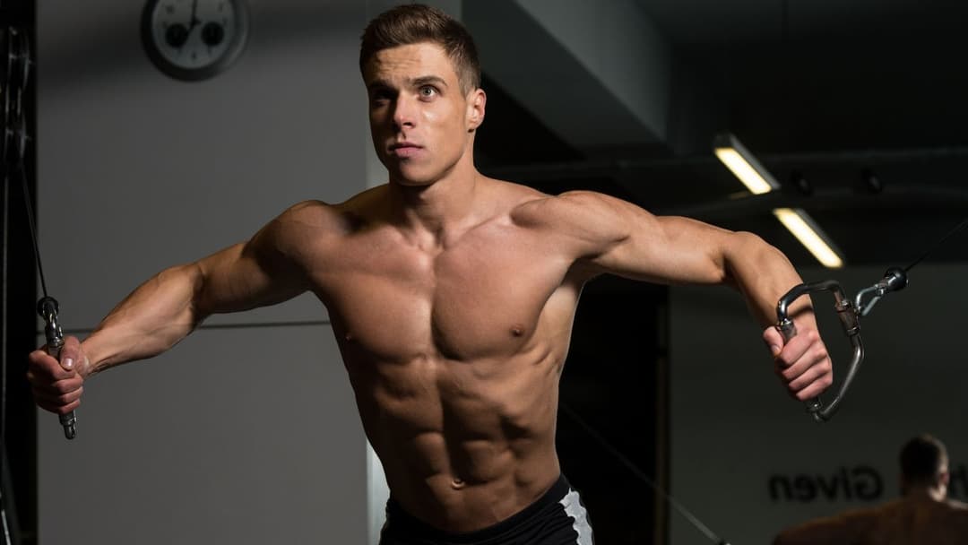 Routines MuscleWiki | Trouvez votre plan de fitness parfait