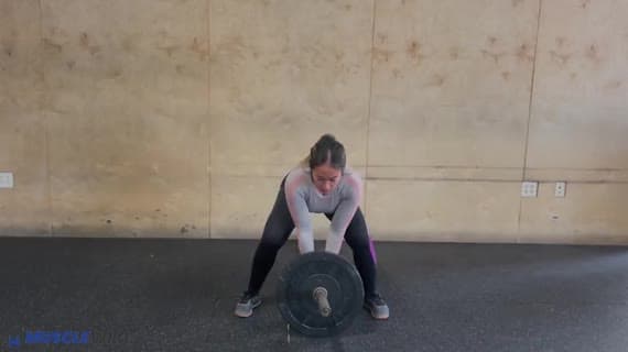 Exercices Barbell Lat | MuscleWiki