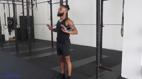 standing chest press exercise