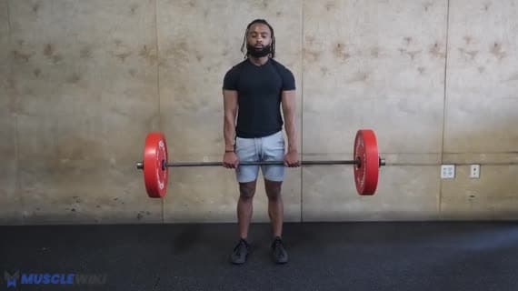 barbell upright row anatomy