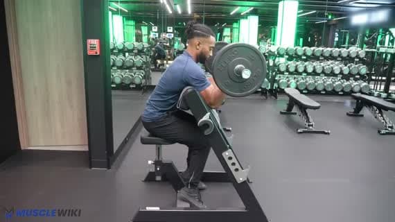 reverse preacher curl form