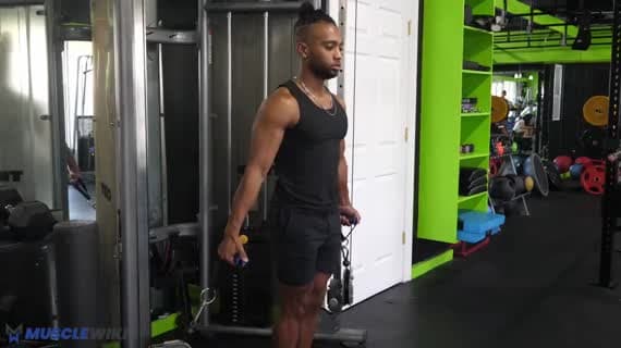 Trap 运动 - 完整训练指南 | MuscleWiki