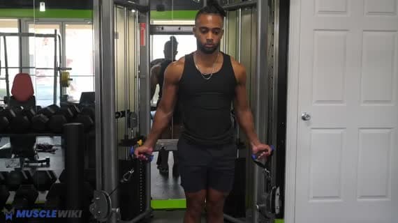 Advanced Bodybuilder - Arms Workout | Complete Training Program ...