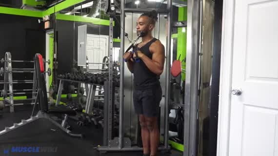 Cables Tricep 运动 | MuscleWiki
