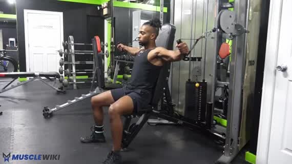 All Chest Exercises | MuscleWiki - Page 14