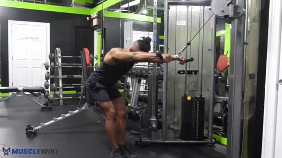 MuscleWiki - Upper Body for Women (Beginners) - Cable Lat Prayer