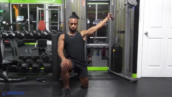 Ejercicios de Cables Bicep | MuscleWiki