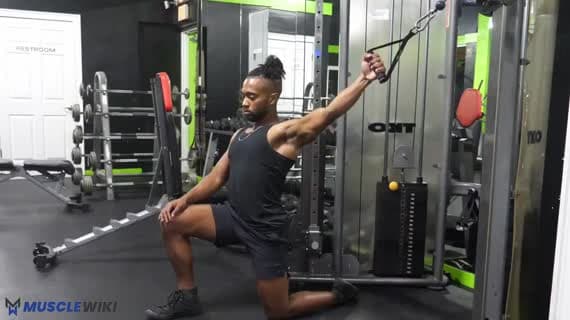 Cables Bicep 运动 | MuscleWiki