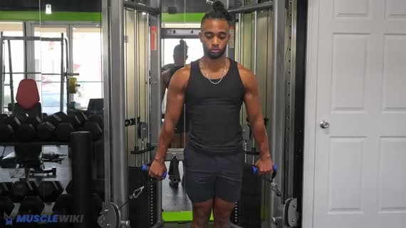 reverse cable curl form