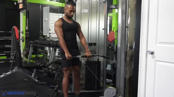 MuscleWiki - Cables Exercises - Lowerback