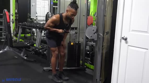 tricep kickbacks using cable