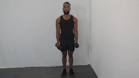 Intermediate Bodybuilder - Arms Workout | Complete Training Program ...