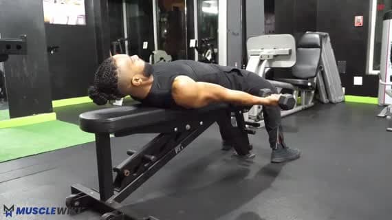 MuscleWiki - Dumbbell Laying Curl - Biceps