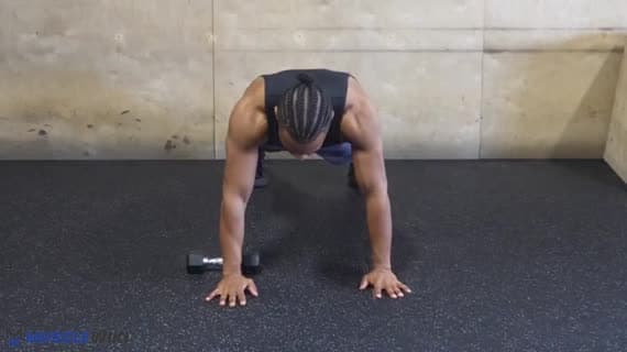 weighted pull through plank