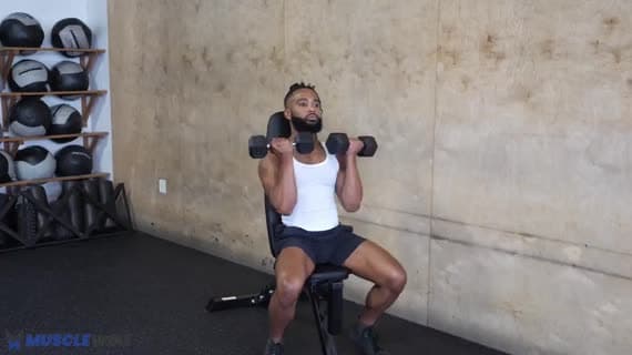 seated arnold press exercise