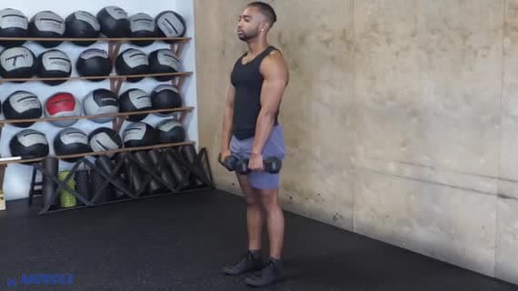 Dumbbell Shrug Egzersiz Rehberi - Traps Antrenmanı | MuscleWiki