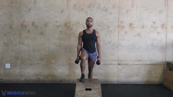dumbbell step ups exercise