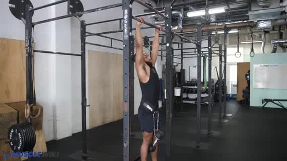 overhead dumbbell pull ups