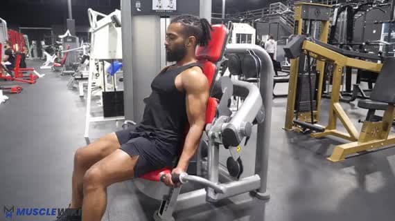 Machine Bicep 运动 | MuscleWiki