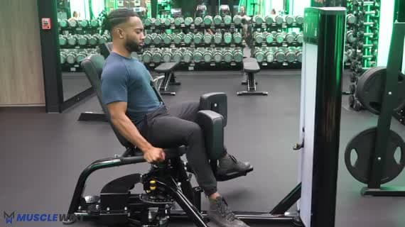 Groin Exercises - Complete Training Guide | MuscleWiki