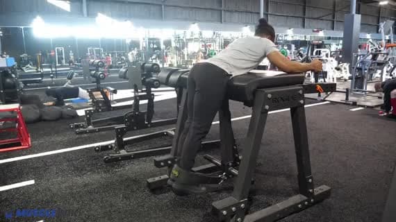 reverse hyperextension