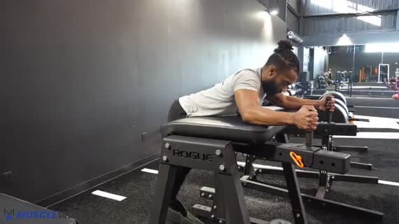 reverse hyperextension