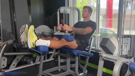 تمارين Machine Hamstring | MuscleWiki