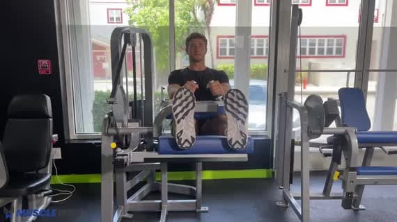 how to seated hamstring curl