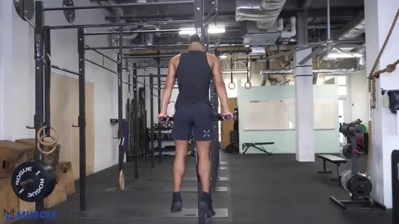 weighted dips chest lean forward