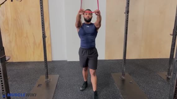 Band Traps-Middle Egzersizleri | MuscleWiki