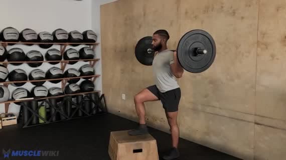Barbell Quad 运动 | MuscleWiki