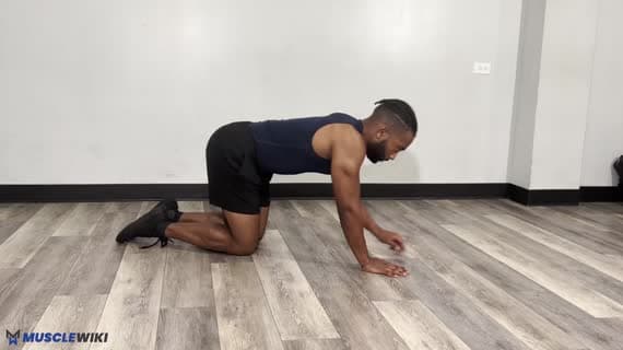 Exercícios Bodyweight Abdominal | MuscleWiki