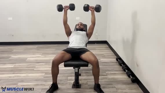 db chest press exercise