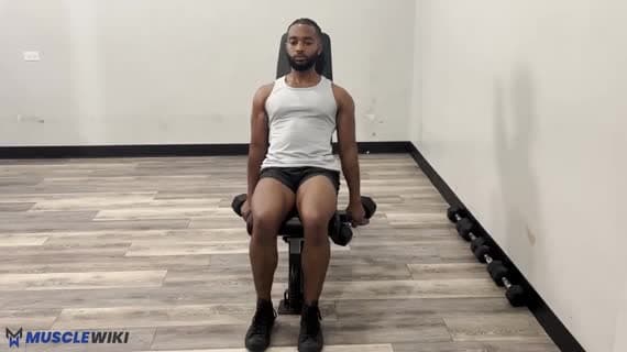 reverse curl exercise with dumbbells