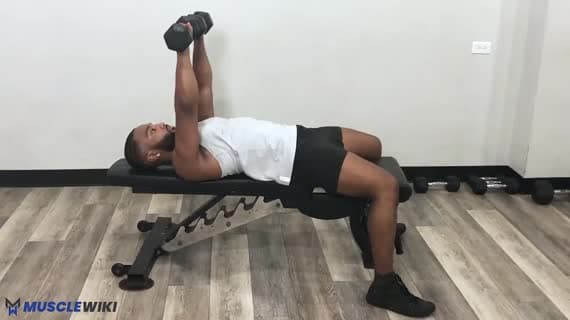partial chest fly dumbbell