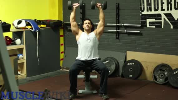 seated db press