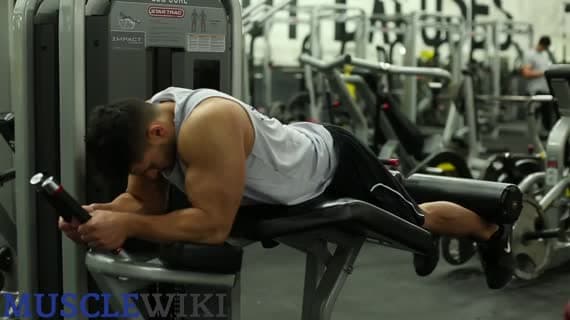 تمارين Machine Hamstring | MuscleWiki