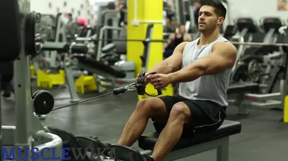 Machine Bicep 运动 | MuscleWiki