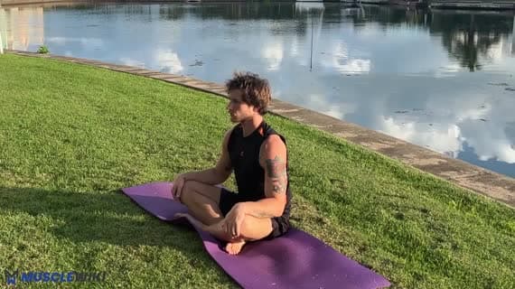 seated side bends exercise