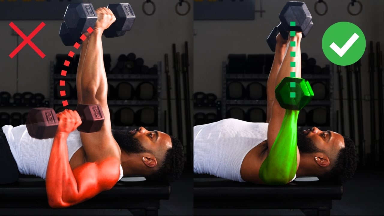 MuscleWiki - Simplify your workout