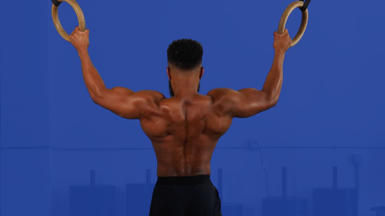 MuscleWiki - Free Exercise Library | Interactive Muscle Map