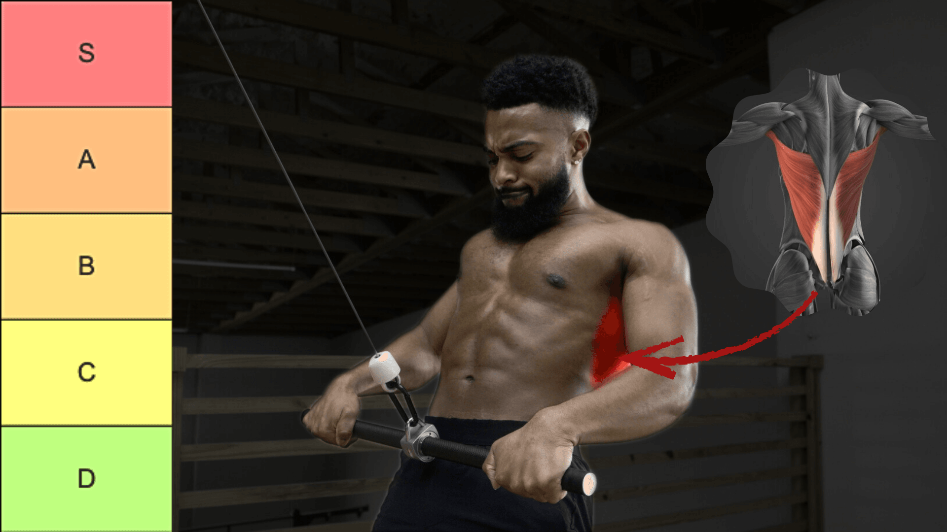 MuscleWiki - Biblioteca de Exercícios Gratuita | Mapa Muscular Interativo