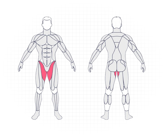 All Inner-Thigh Exercises | MuscleWiki - Page 4